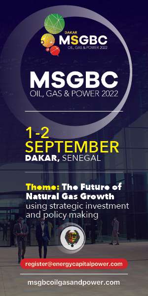 Exploration and Project Opportunities in the MSGBC Basin