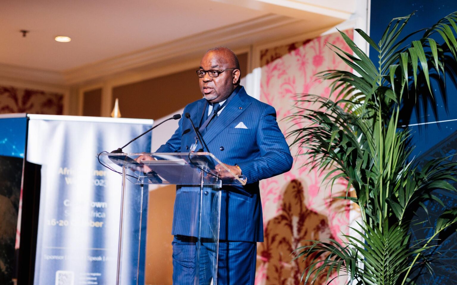 ROC Hydrocarbons Minister Joins NIEC 2024, Driving African Energy ...