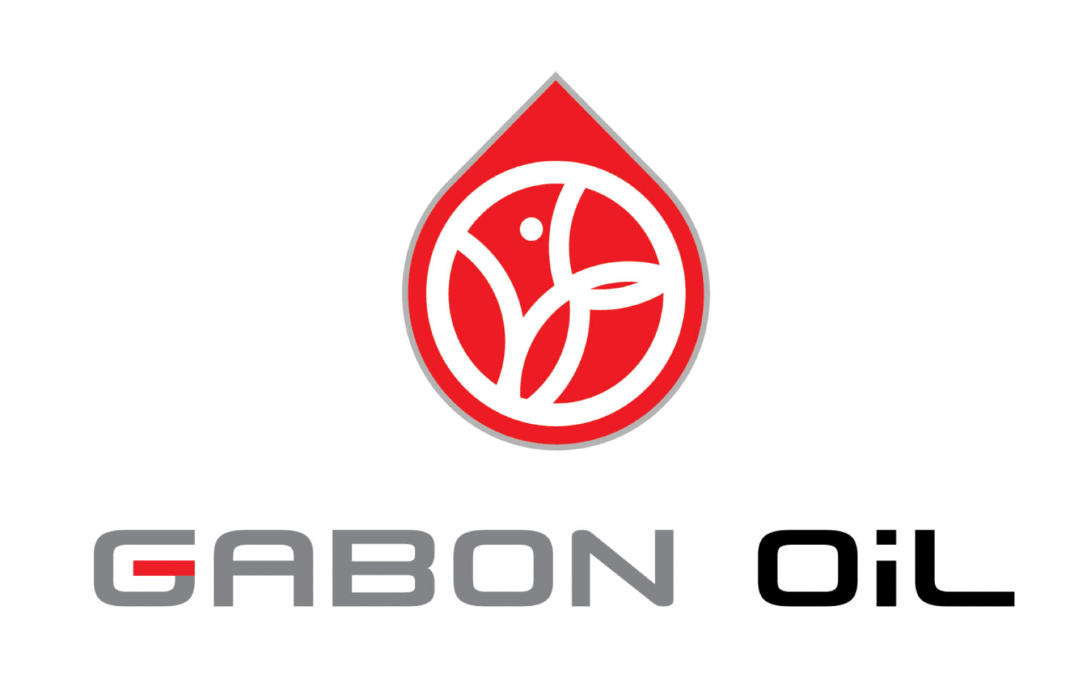 Gabon Oil Company CEO to Highlight Regional Energy Cooperation at Congo ...