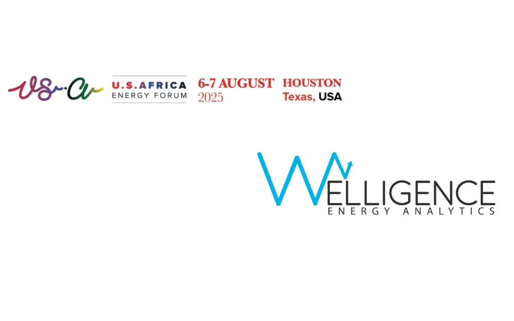 USAEF Partners with Welligence to Empower U.S. Investors in Africa’s Energy Landscape